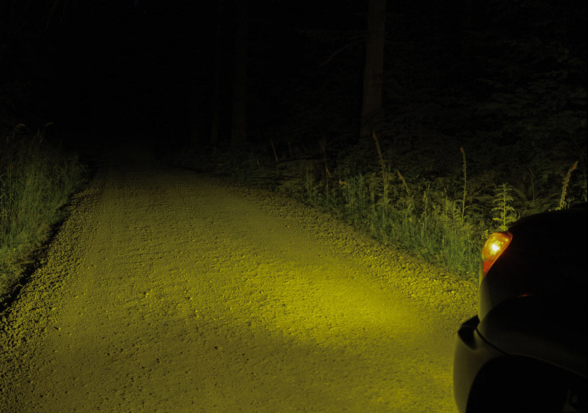 PIAA H8 Solar Yellow Twin Pack Halogen Bulbs – New German Performance